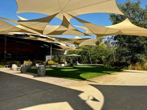 Exploring the Beauty of the Dundee Hills: A Day in Oregon Wine Country ...